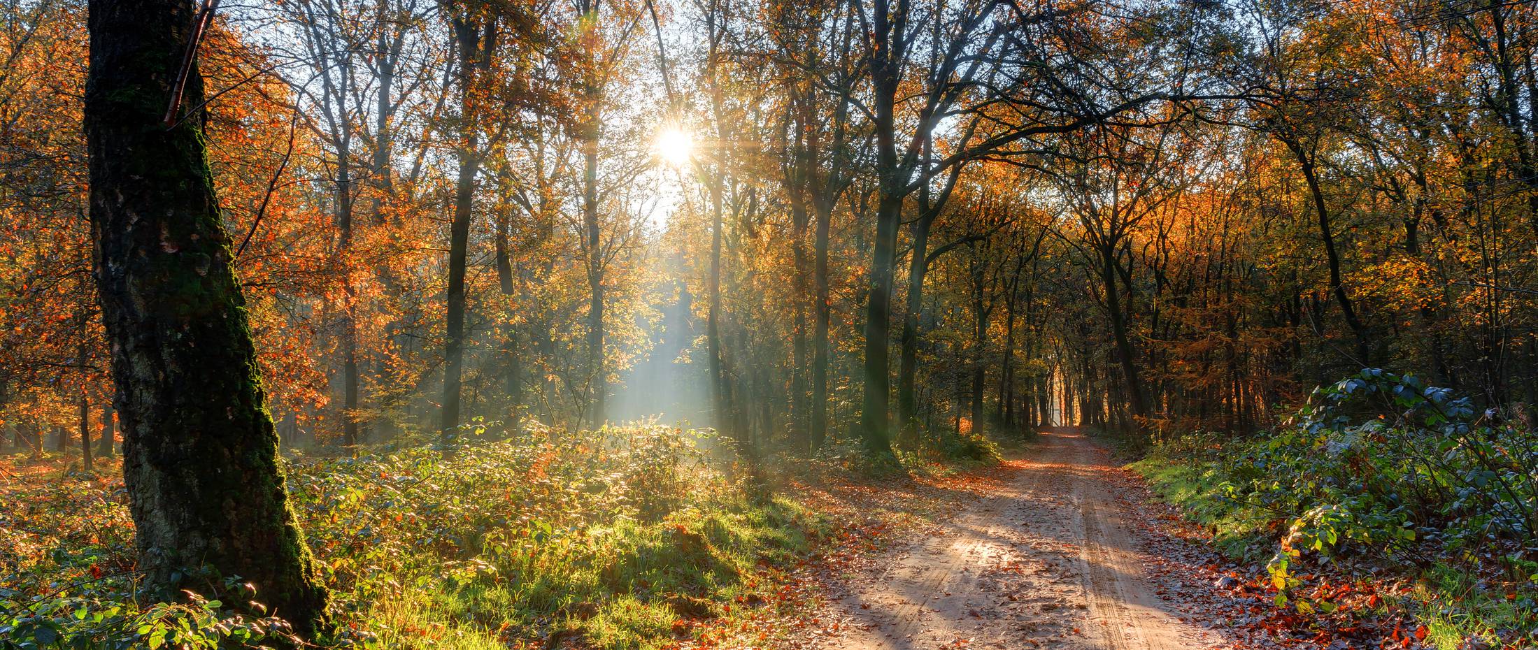 Bilderberg Blogs - Al onze artikelen op een rij - Bilderberg Hotels