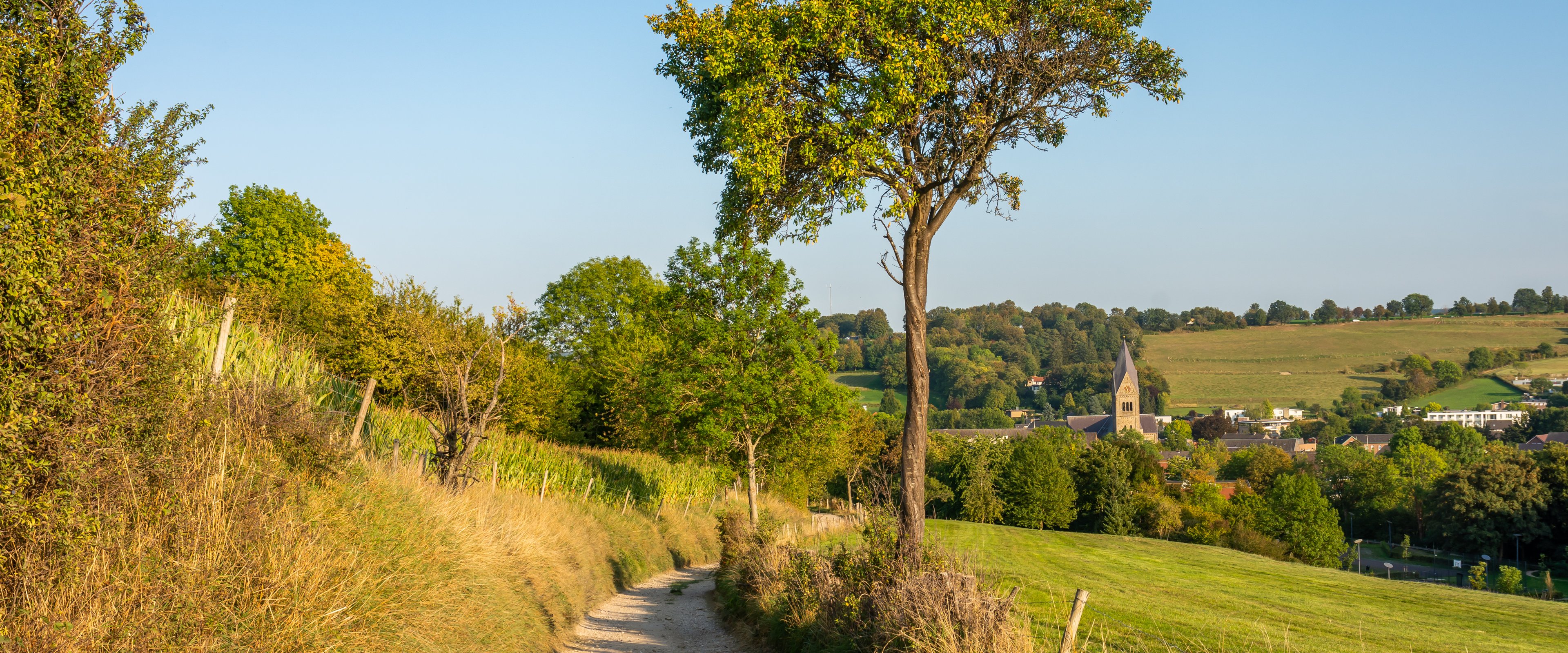 Ontdek prachtige wandelroutes in Limburg - Bilderberg Hotels