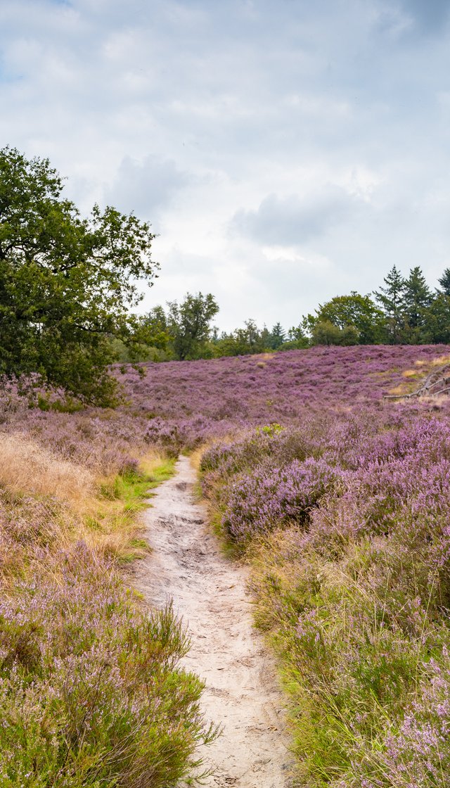 Ontdek de Veluwe - Bilderberg - Bilderberg Hotels
