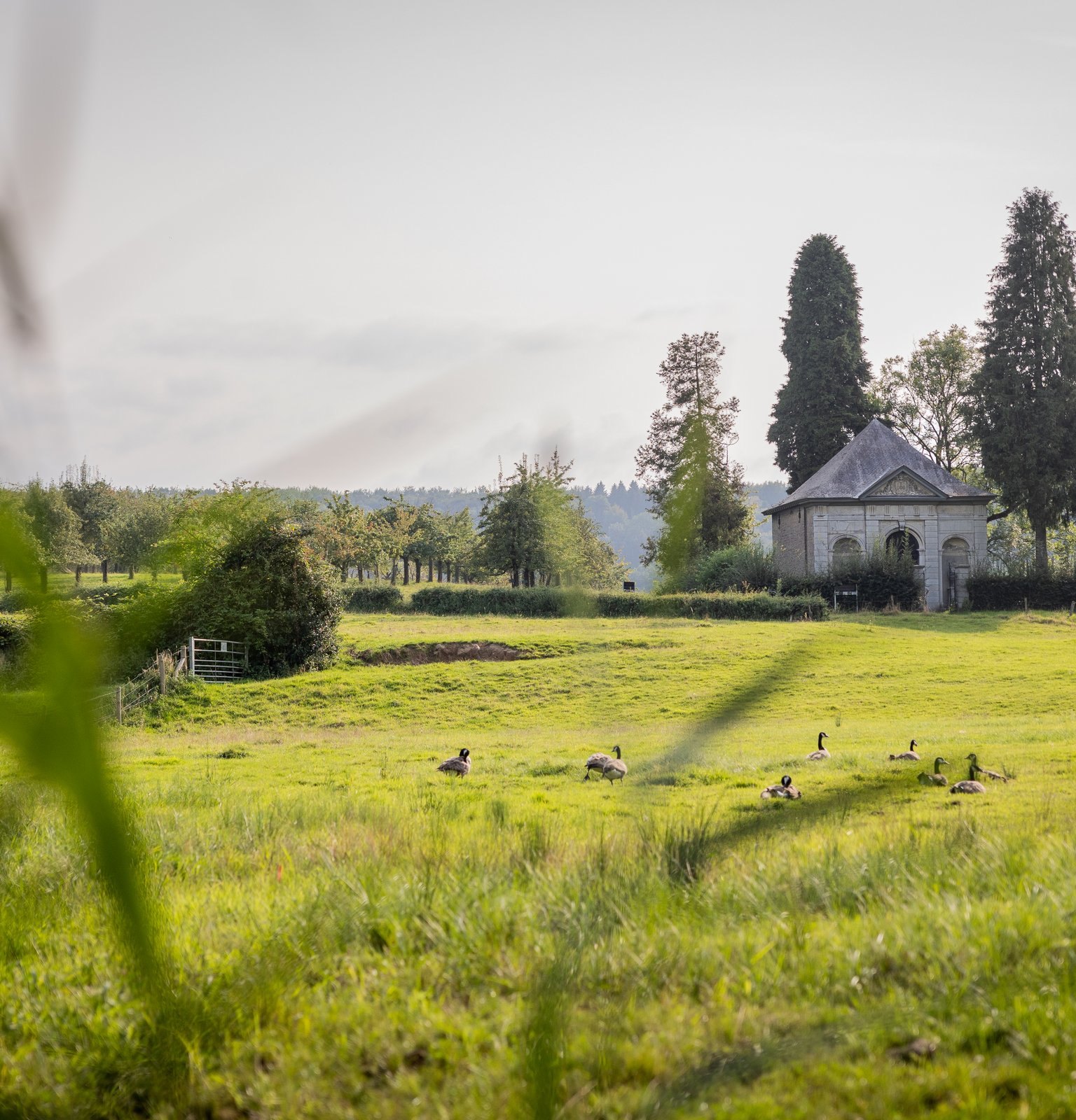 Omgeving - Kasteel Vaalsbroek - Bilderberg Hotels